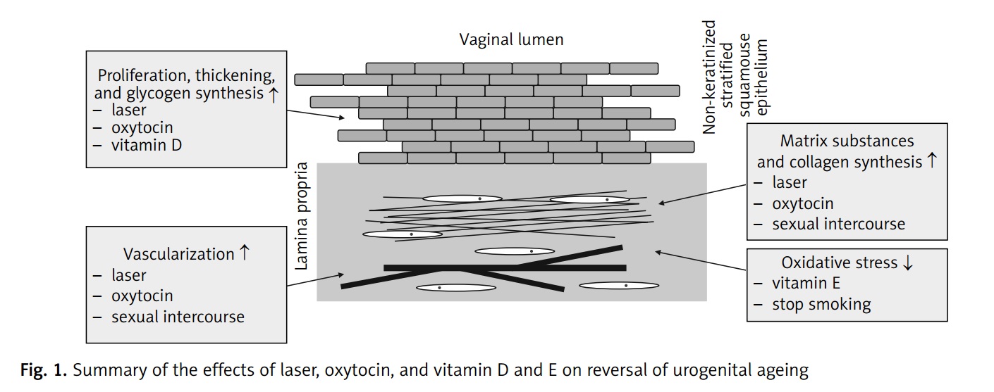 Sécheresse vaginale, alternatives au traitement hormonal - Dr Albert ...